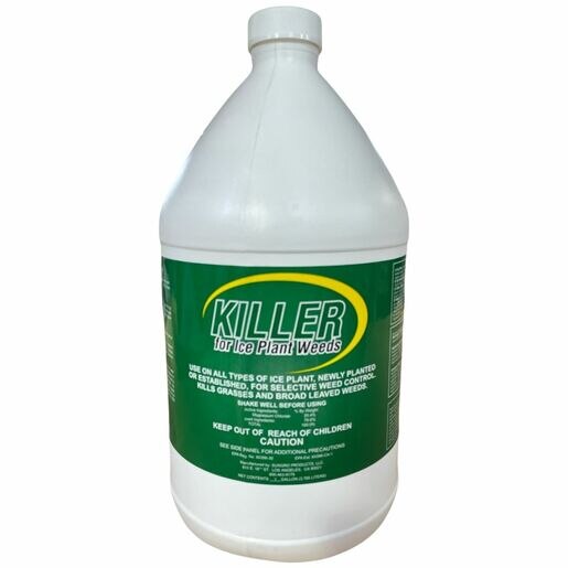Ice Plant Weeder gallon | SiteOne
