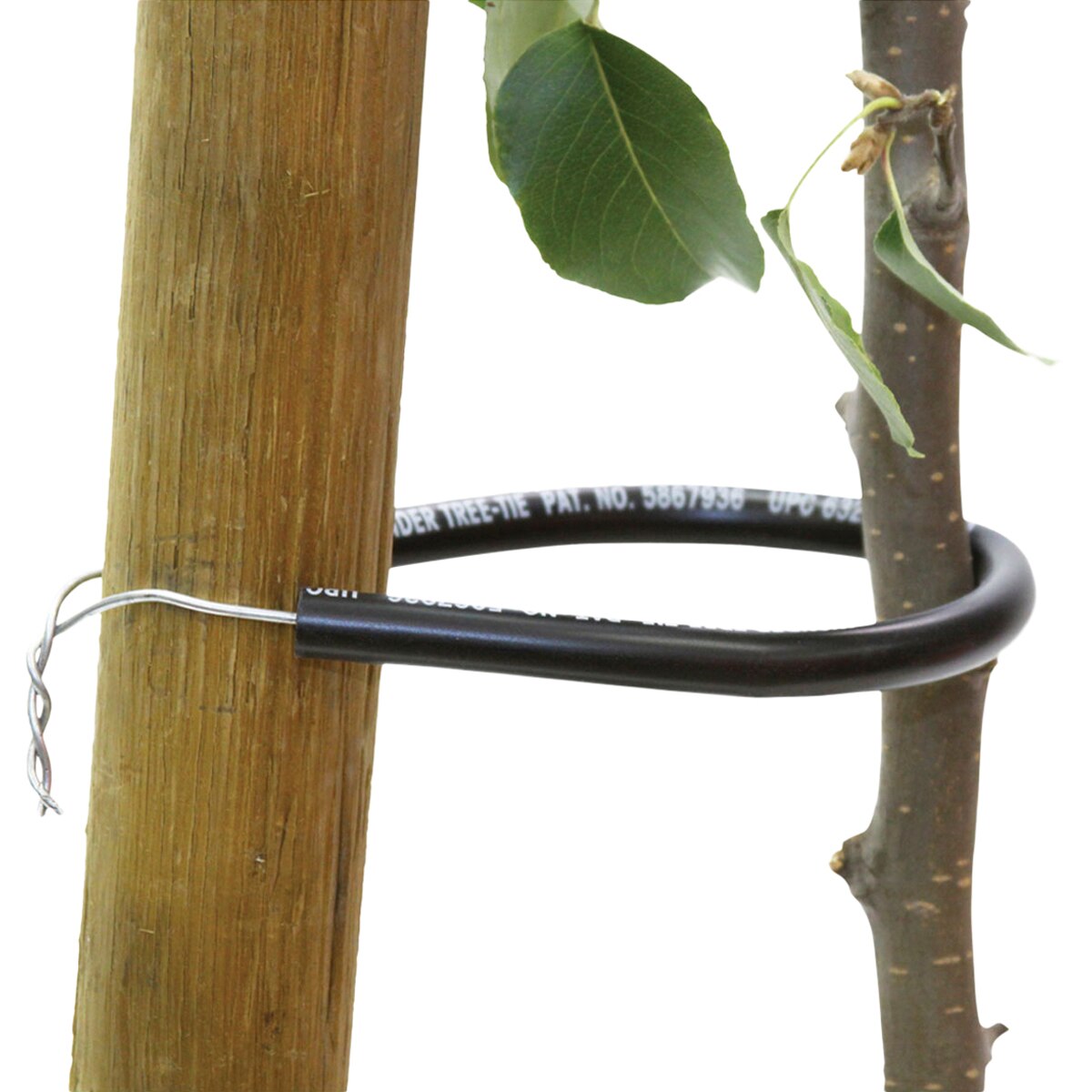 Tree Tie Black 24 in. | SiteOne