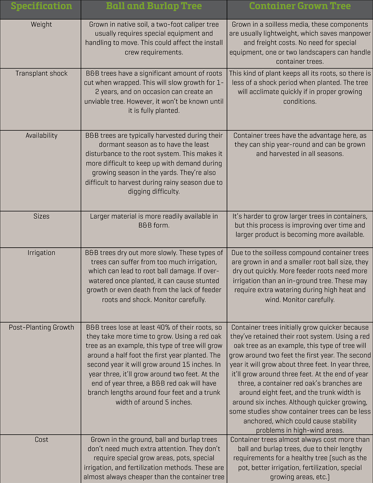 Container-Trees-versus-Ball-and-Burlap-Trees