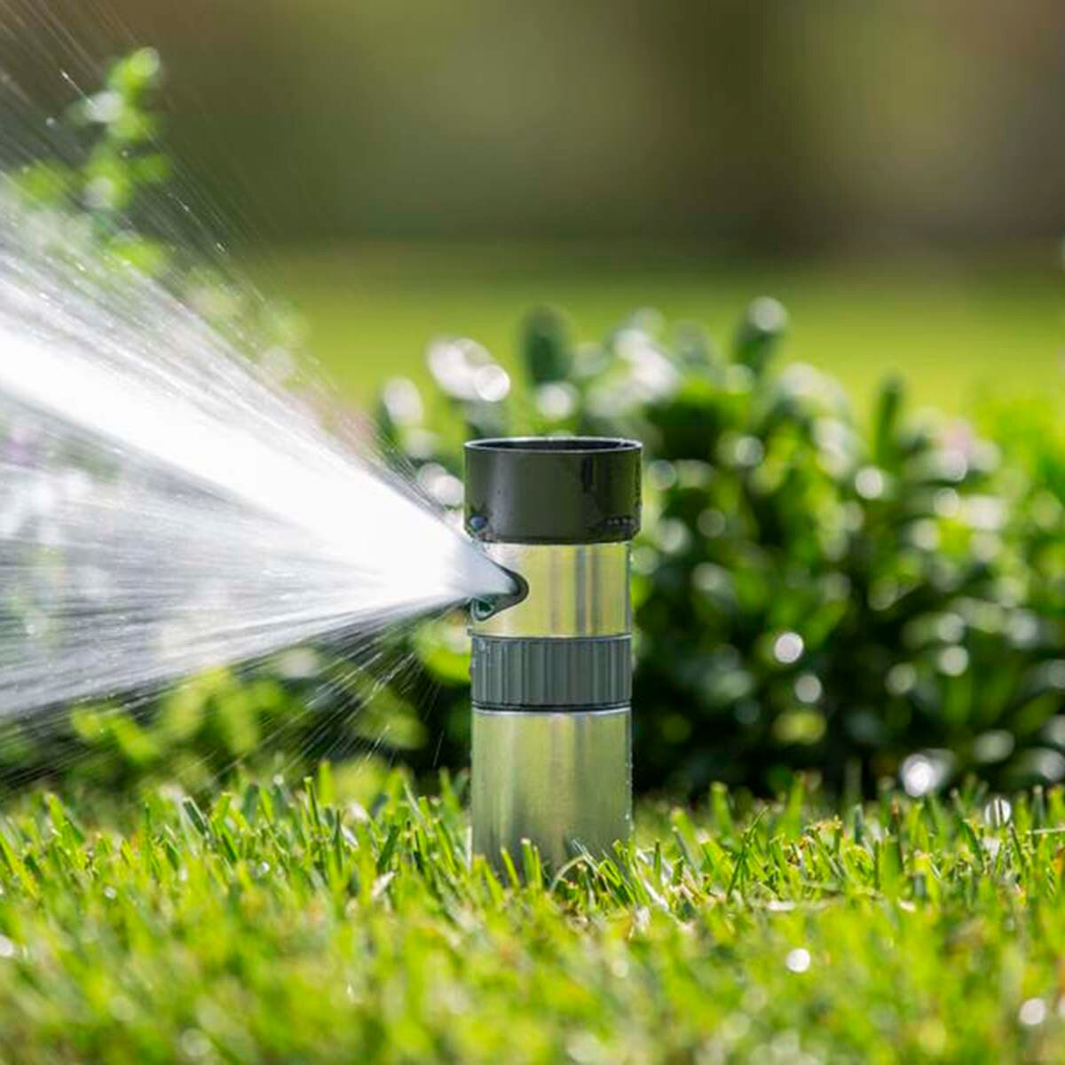 Hunter I-50 Full-Circle Rotor 6 in. Stainless Steel Ris | SiteOne